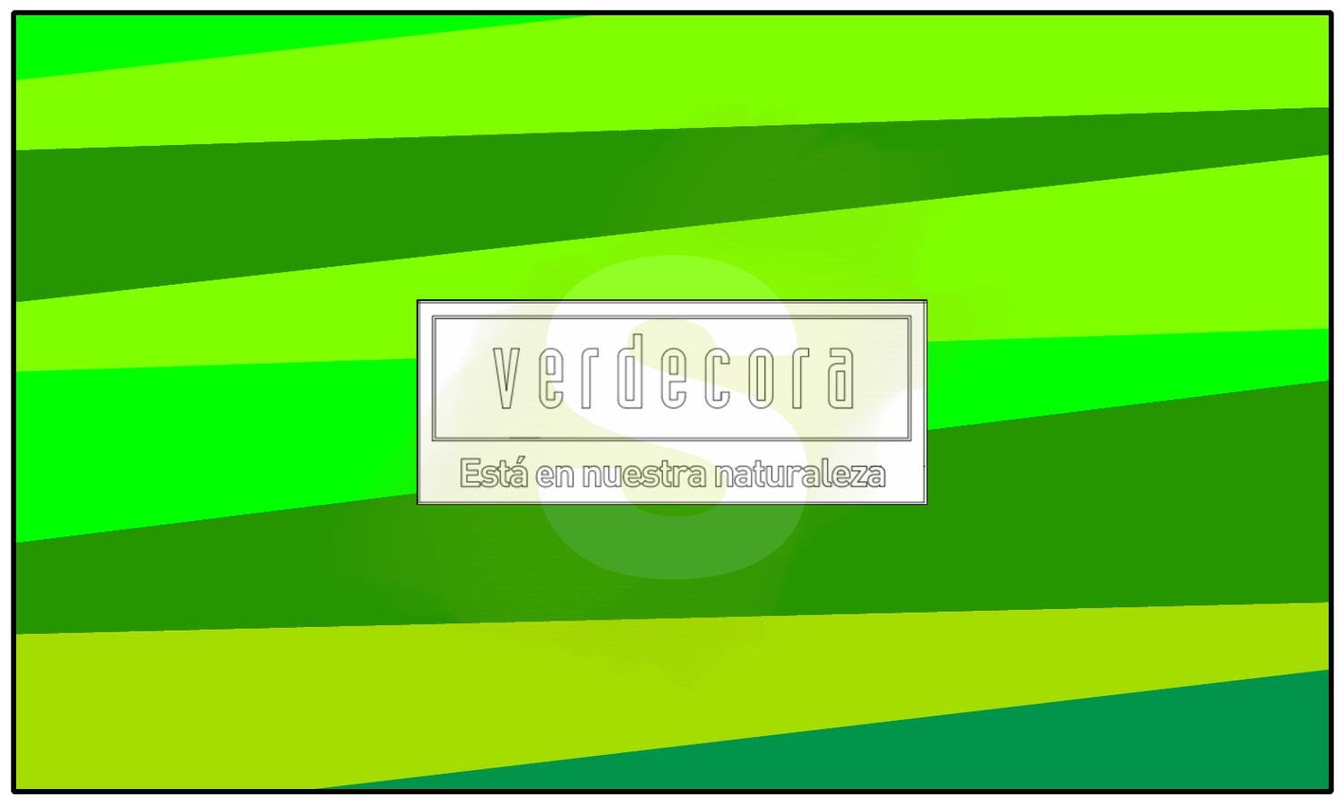 Verdecora shop, Valencia - SingularGreen