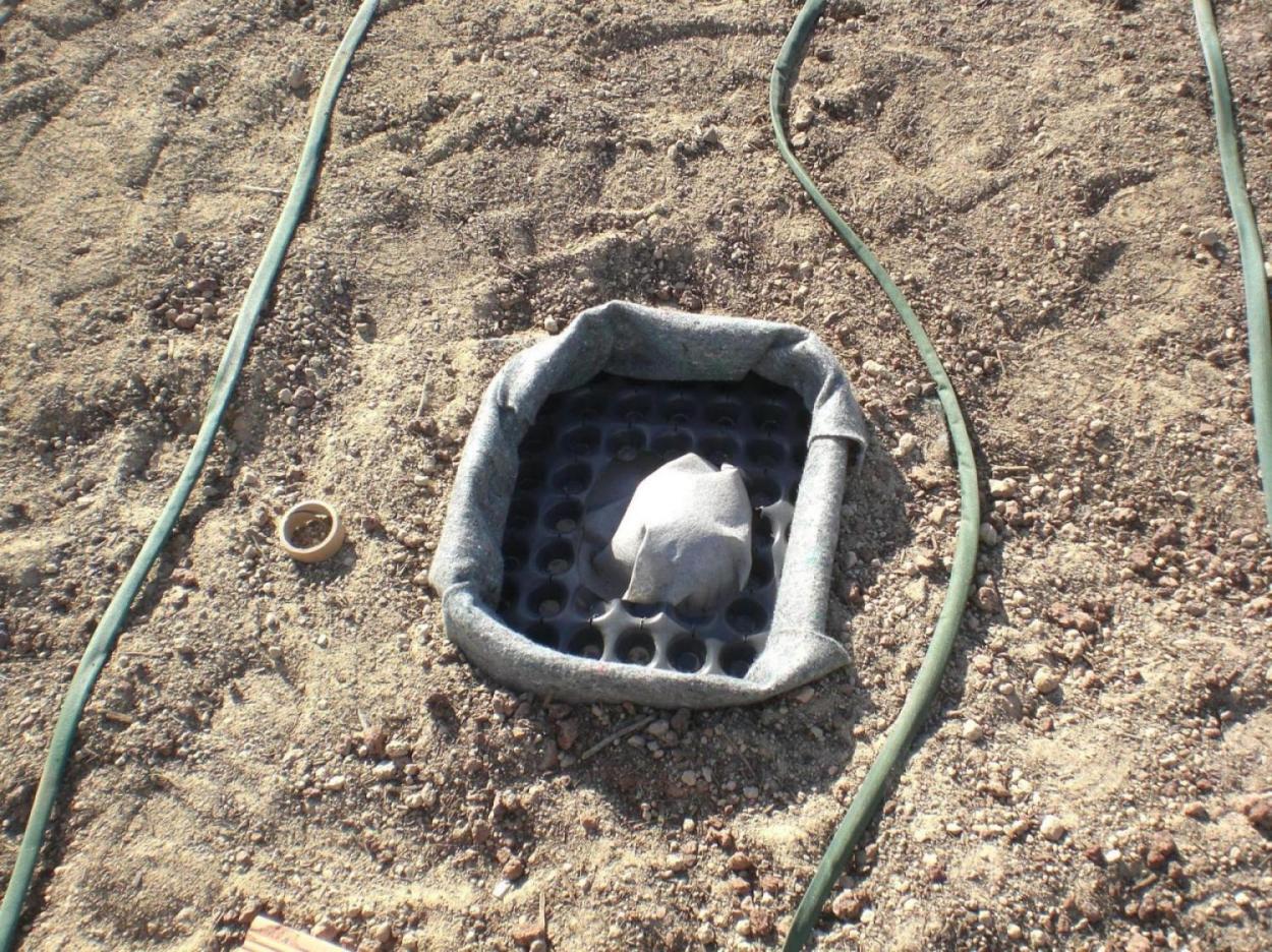 Extensive green roofs: Step-by-step with practical example