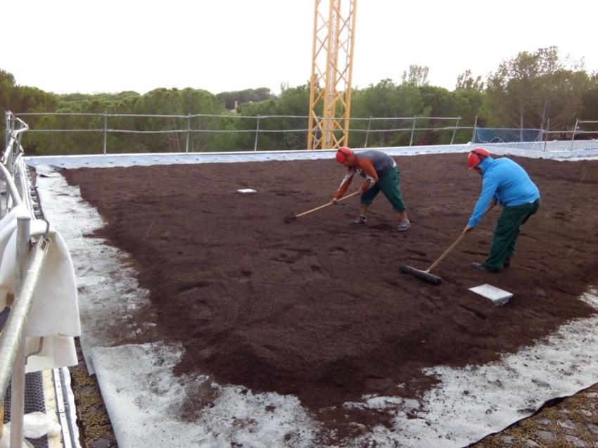 The importance of substrate in ground cover