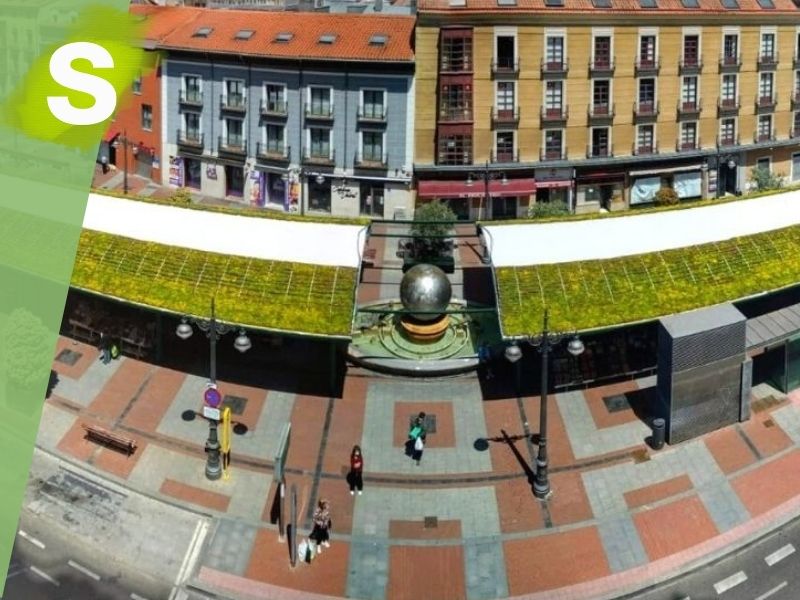 Extensive cover or intensive cover; differences and characteristics