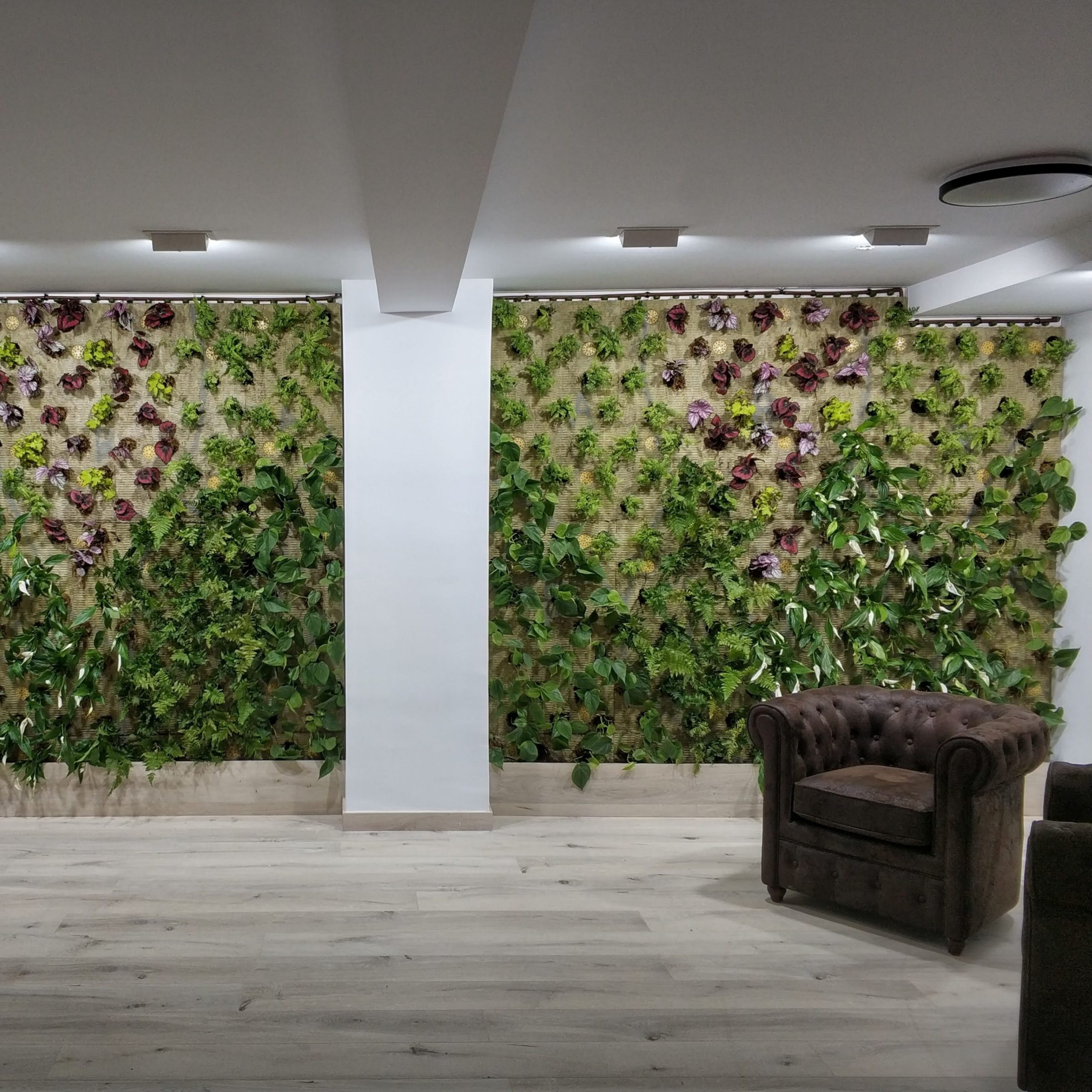 Jardines verticales Guía para descubrir todo sobre los muros verdes