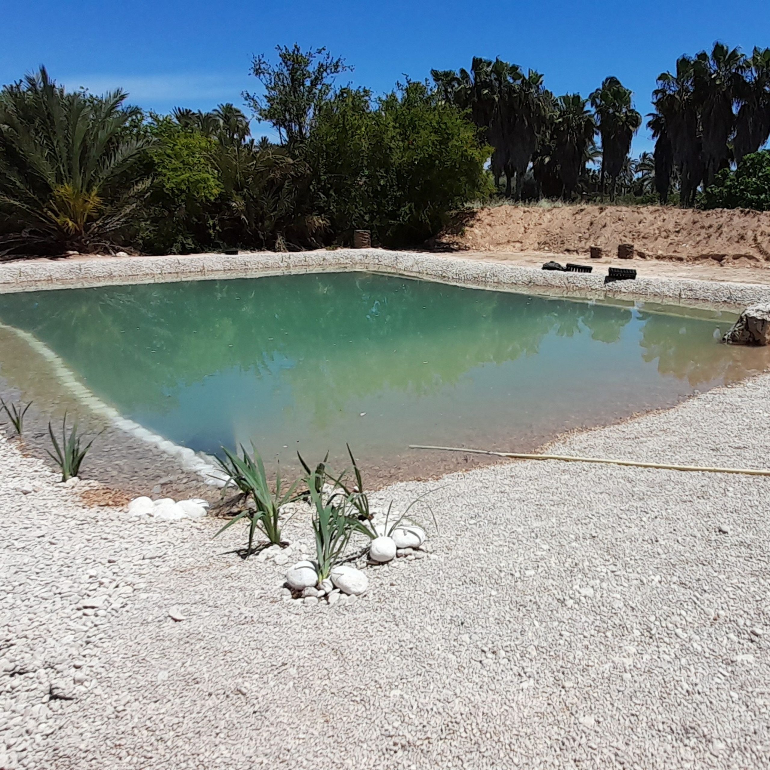 Estanques y piscinas naturales para un baño sin químicos - SingularGreen