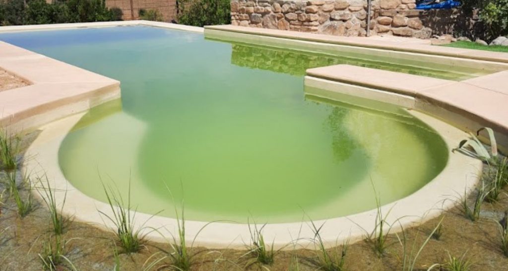 Green shade: the first system of vegetable awnings