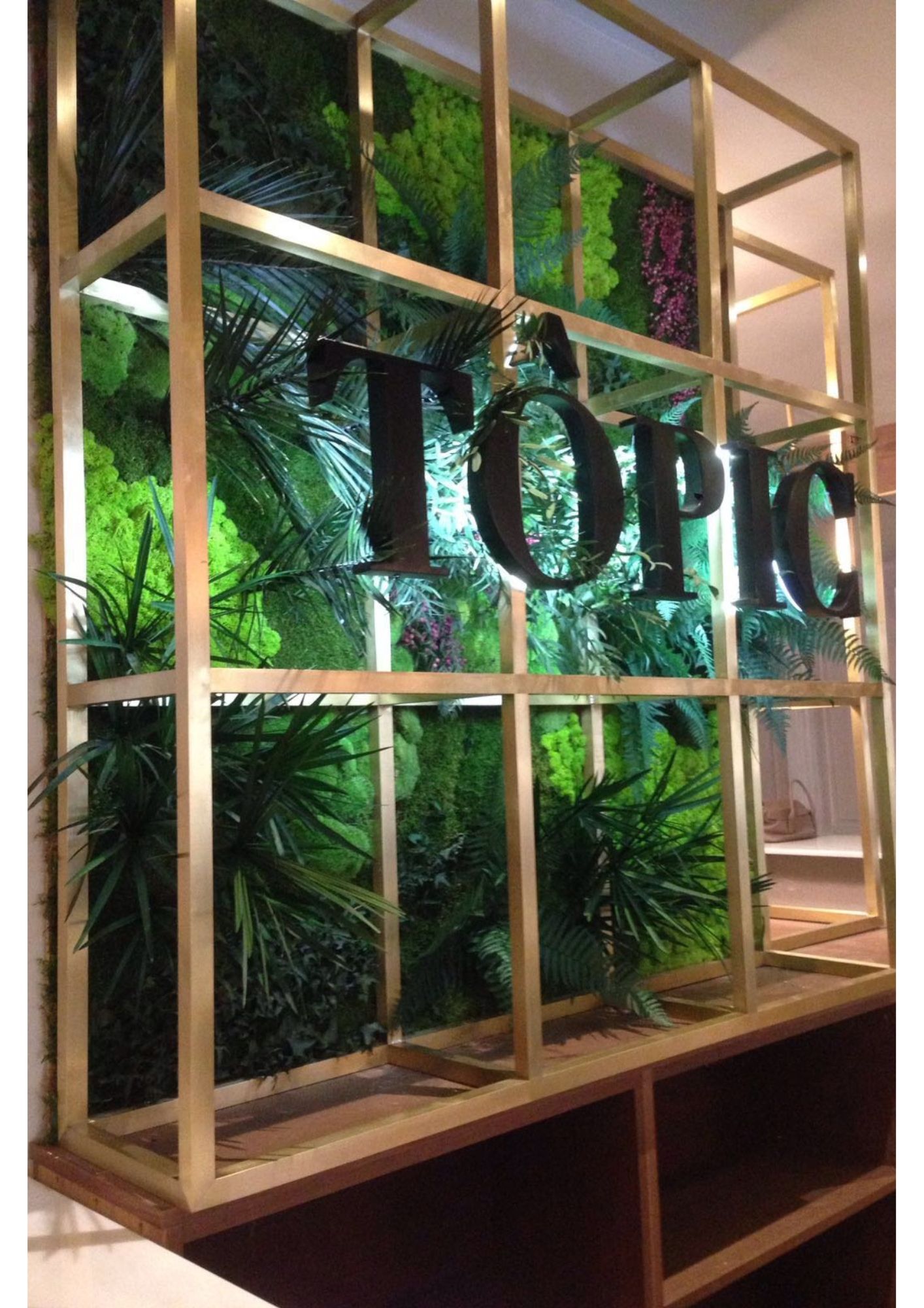 Preserved plant vertical gardens