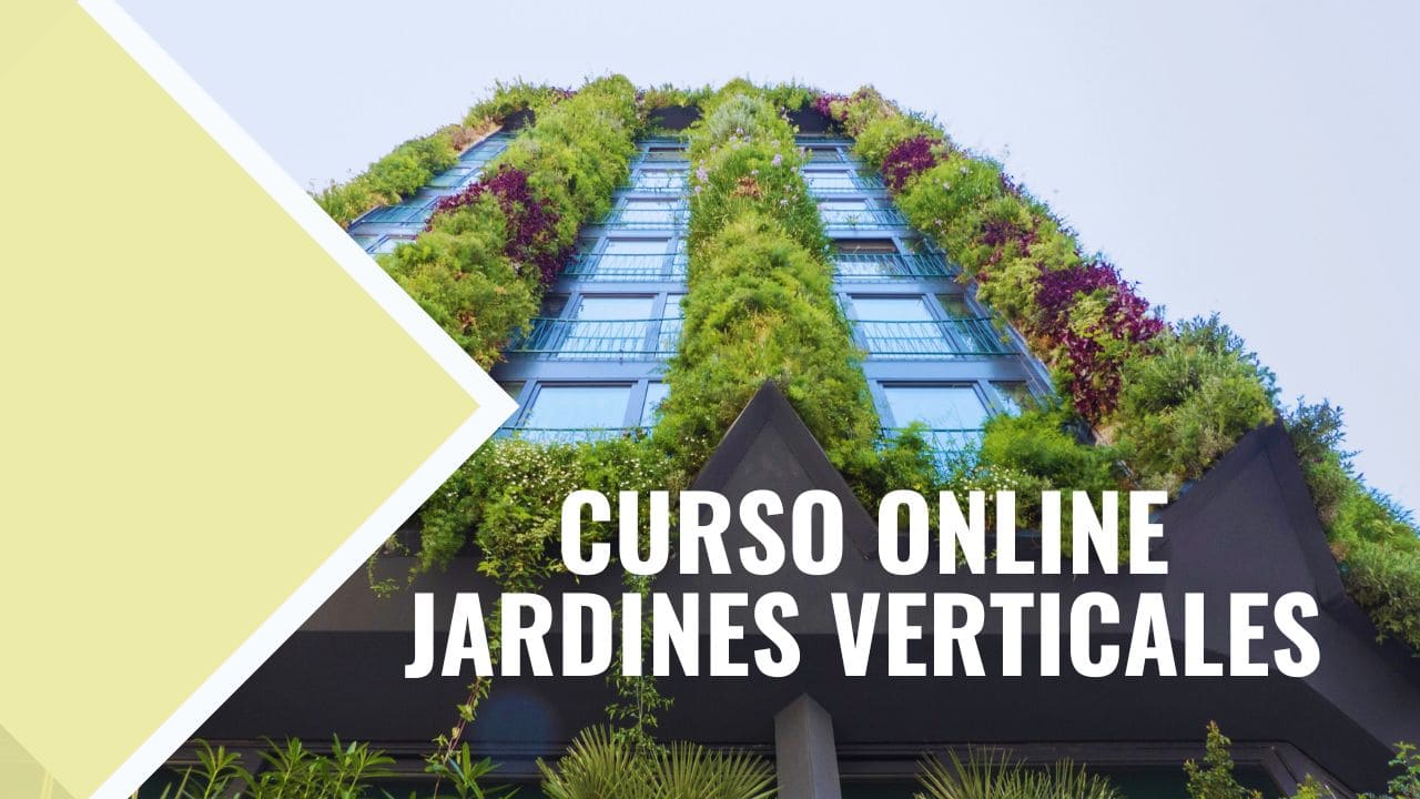 Curso de jardín vertical: Razones para hacer una formación así