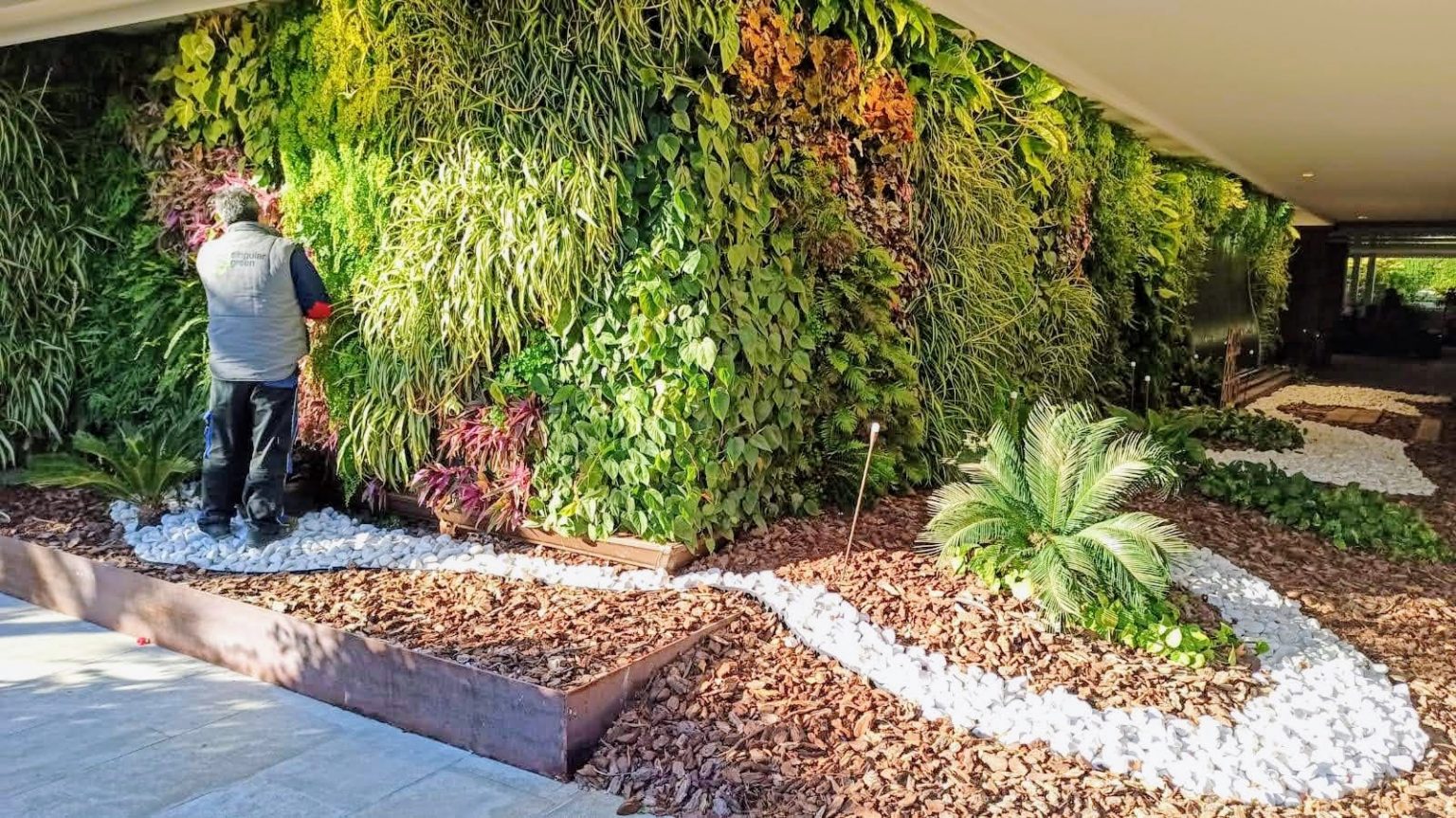 Jardines verticales naturales: alternativas y puntos clave