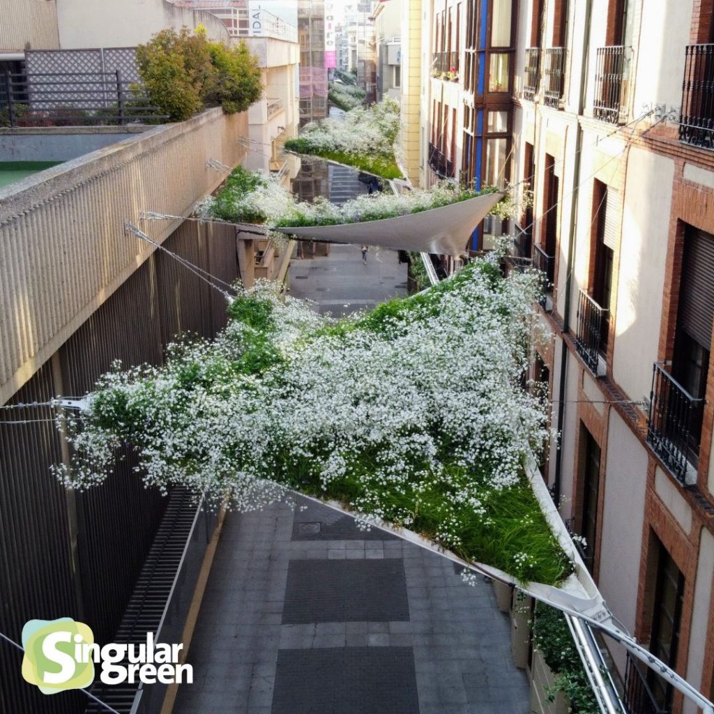 Las 10 especies que mejor funcionan en Jardines Verticales