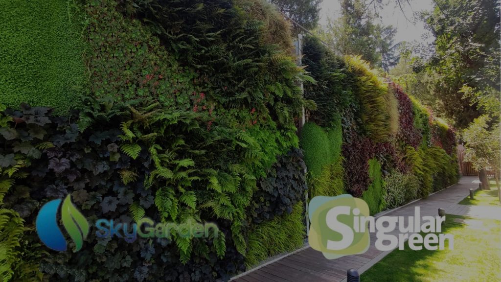 Generate shadows without trees: vegetable awnings, a new way to ...