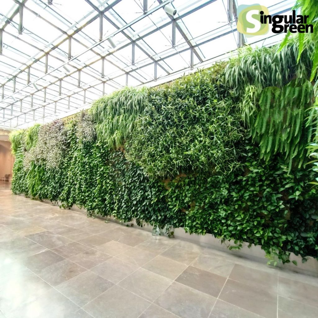 Las 10 especies que mejor funcionan en Jardines Verticales