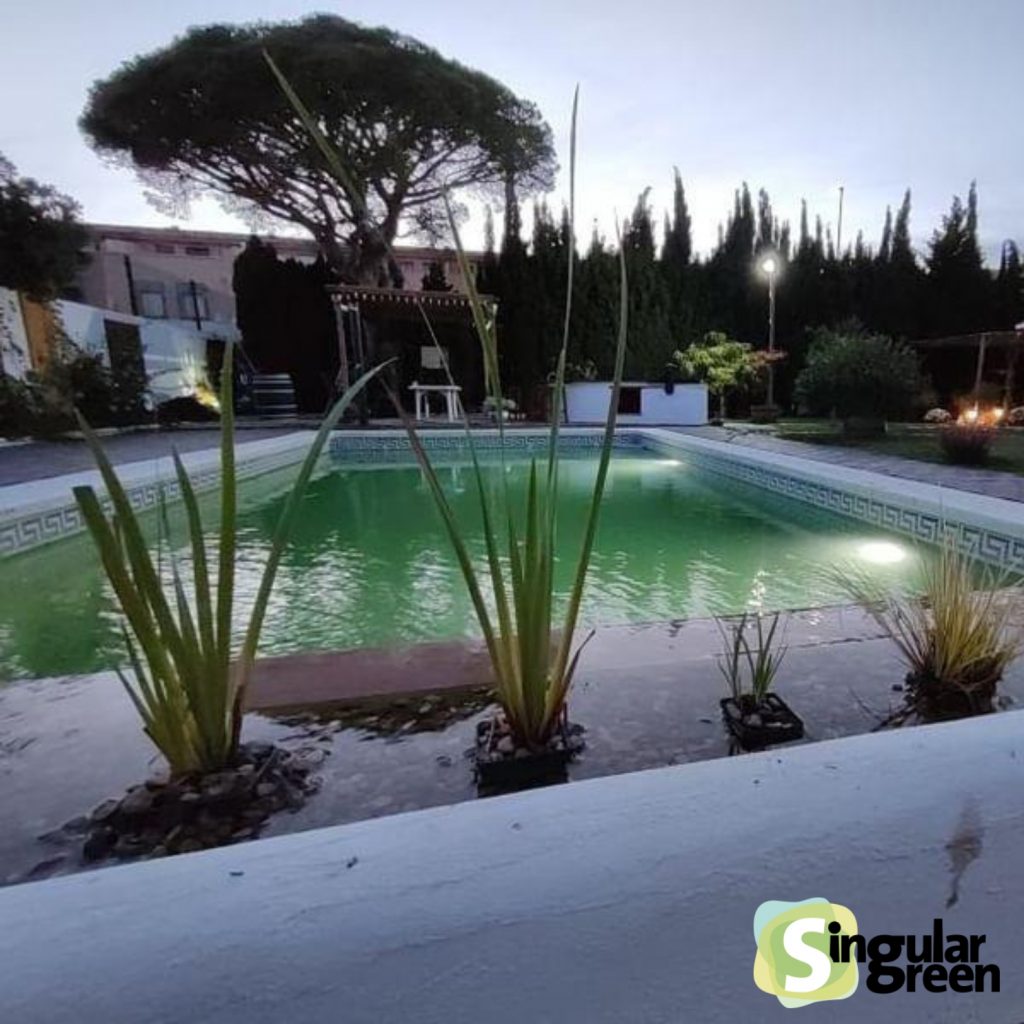 Green shade: the first system of vegetable awnings