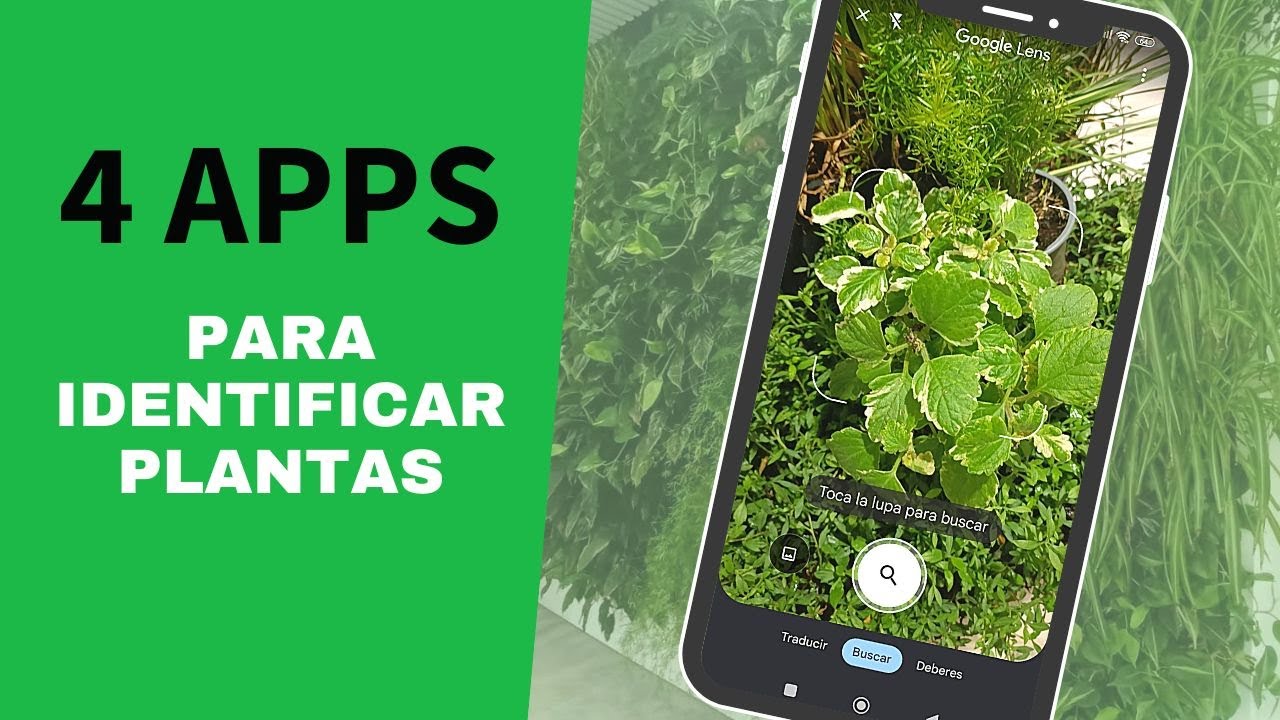 Identificación de plantas: aplicaciones a estudio